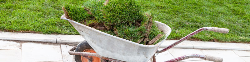 Best Methods for Repairing Bare Spots in Your Lawn | A-G Sod Farms Best Methods for Repairing Bare Spots in Your Lawn | A-G Sod Farms
