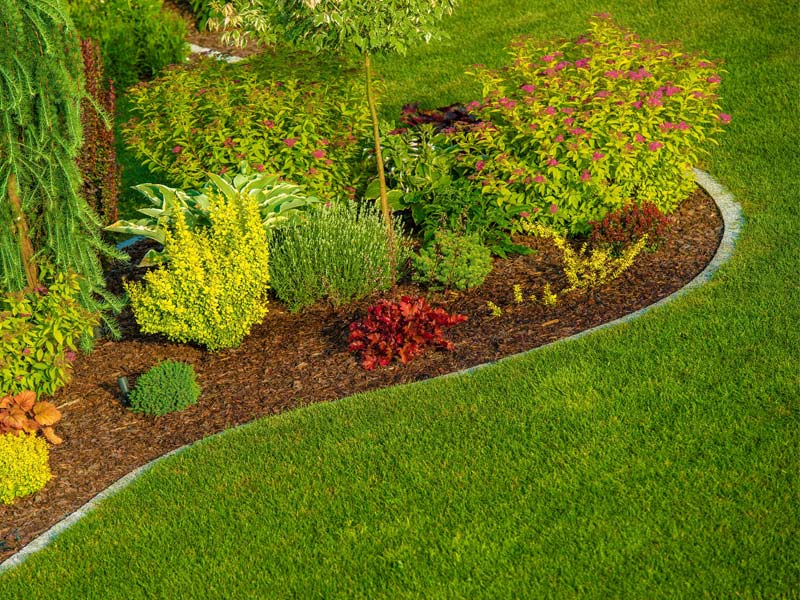 | A-G Sod Farms