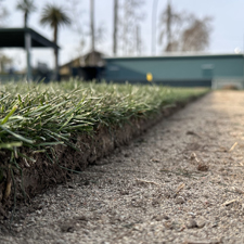 removal-page-thick-cut | A-G Sod Farms